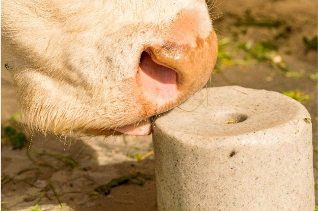 ALIMENTS ET PRODUITS | NEALIA